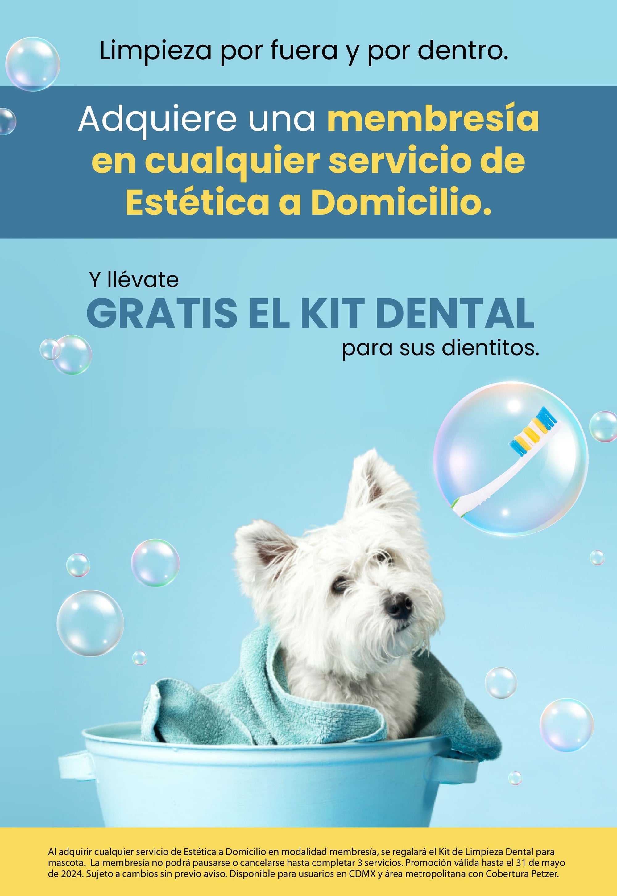 Petzer | Alimento, Productos, Servicios a domicilio para Perro y Gato ...