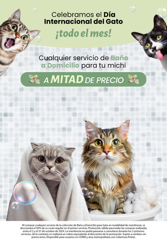 Petzer | Alimento, Productos, Servicios a domicilio para Perro y Gato ...