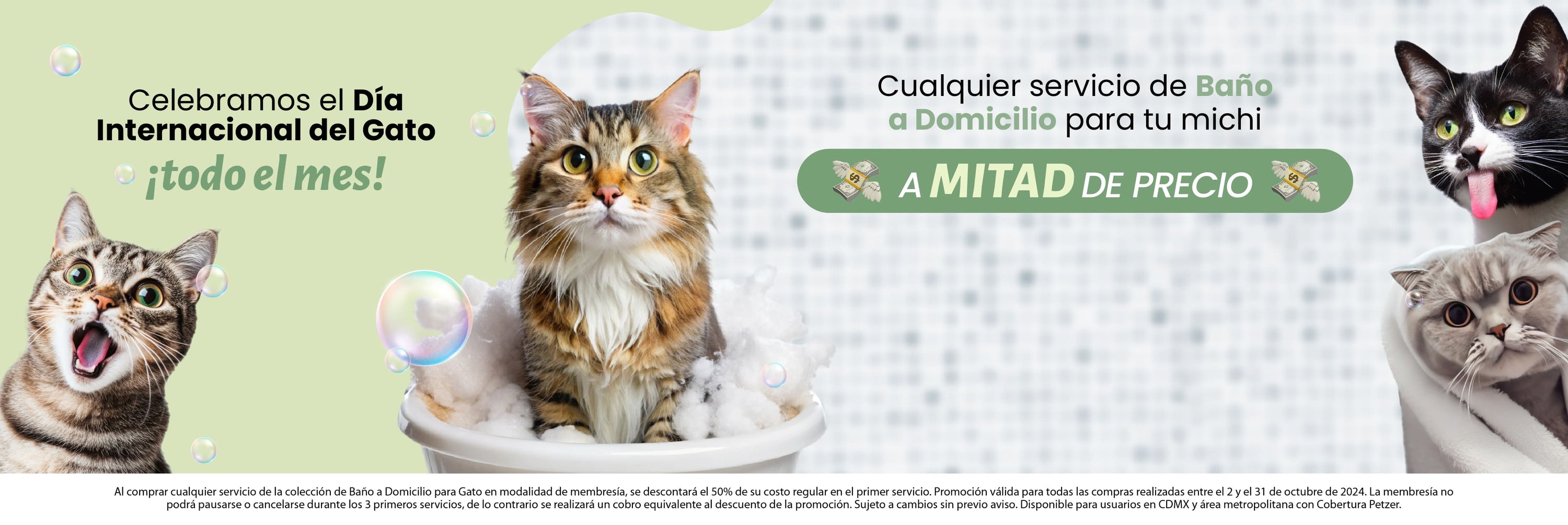 Petzer | Alimento, Productos, Servicios a domicilio para Perro y Gato ...