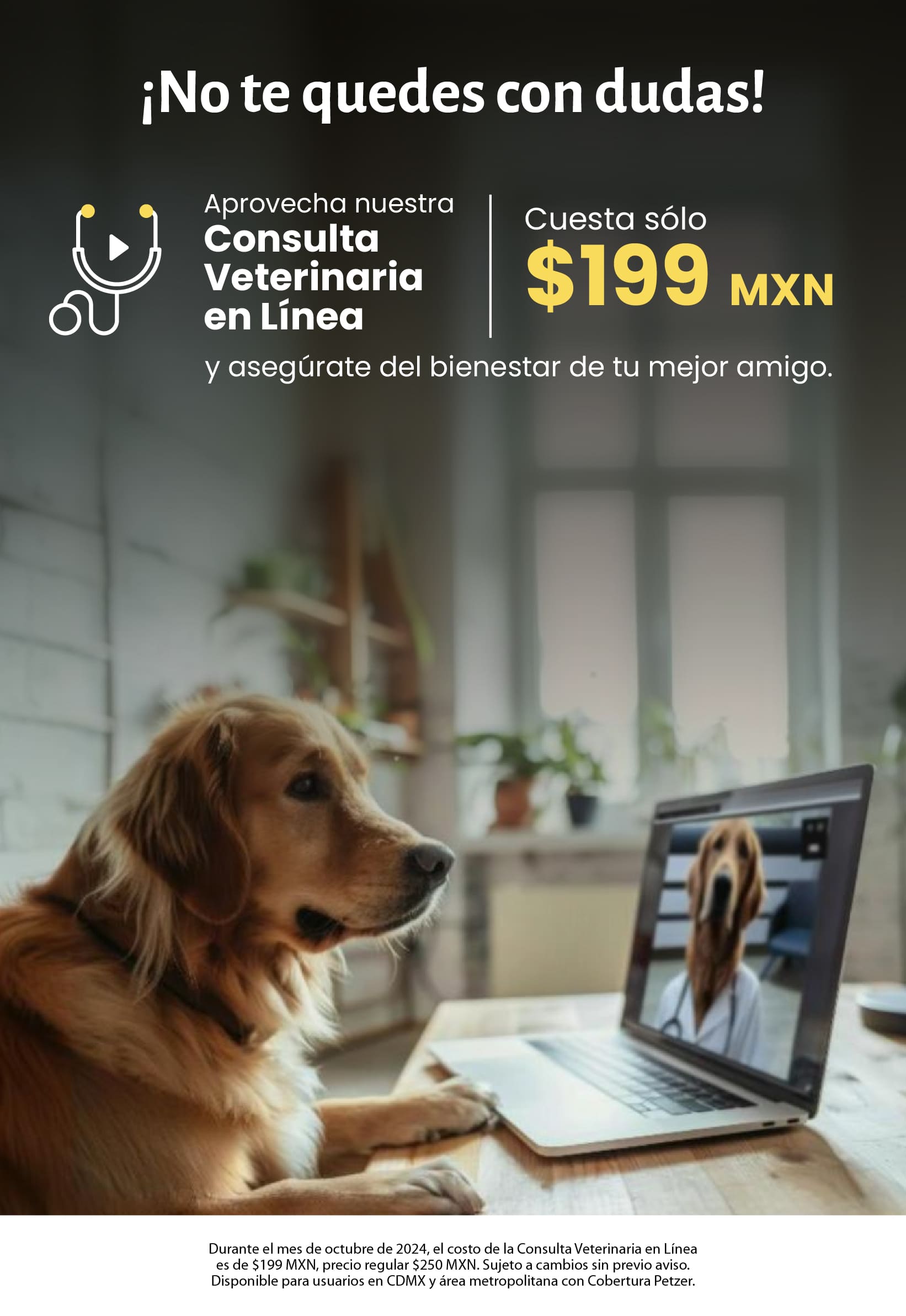 Petzer | Alimento, Productos, Servicios a domicilio para Perro y Gato ...