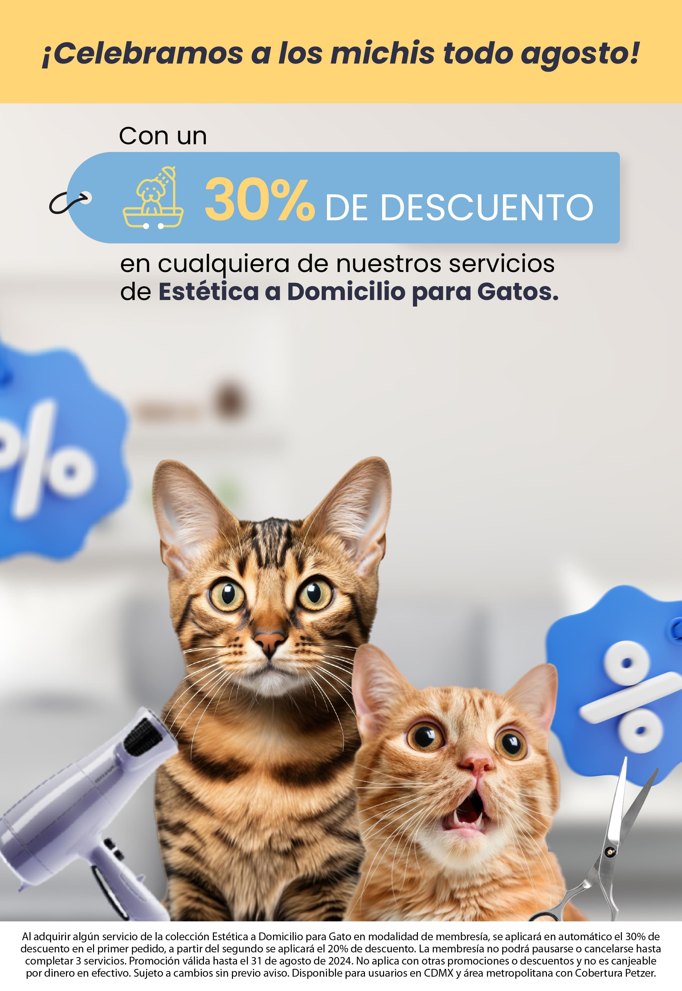 Petzer | Alimento, Productos, Servicios a domicilio para Perro y Gato ...