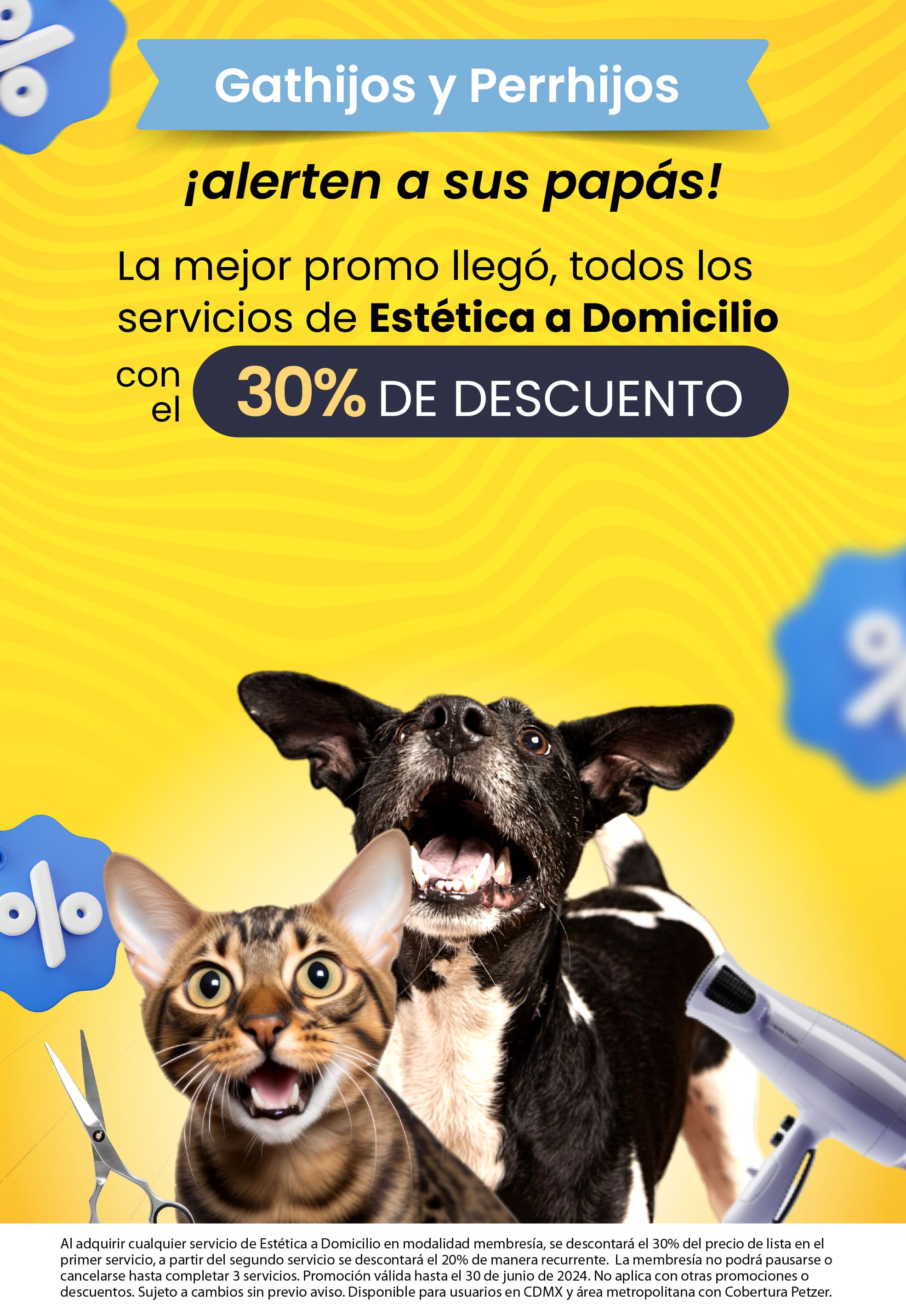 Petzer | Alimento, Productos, Servicios a domicilio para Perro y Gato ...