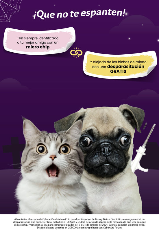Petzer | Alimento, Productos, Servicios a domicilio para Perro y Gato ...