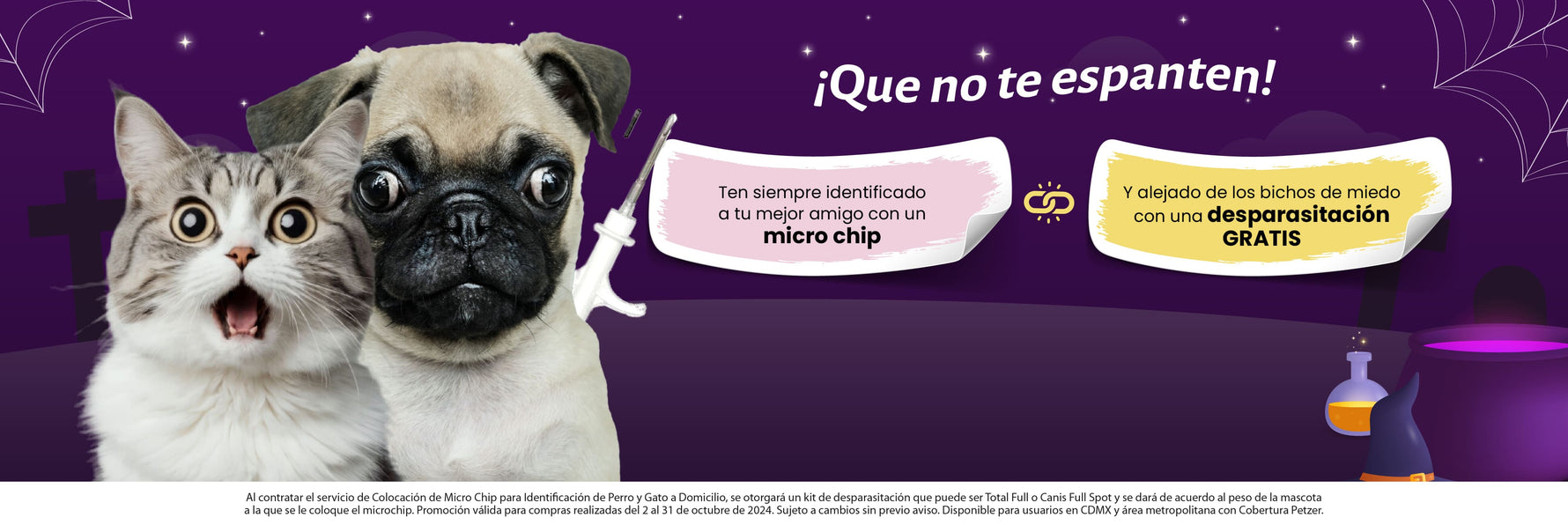 Petzer | Alimento, Productos, Servicios a domicilio para Perro y Gato ...
