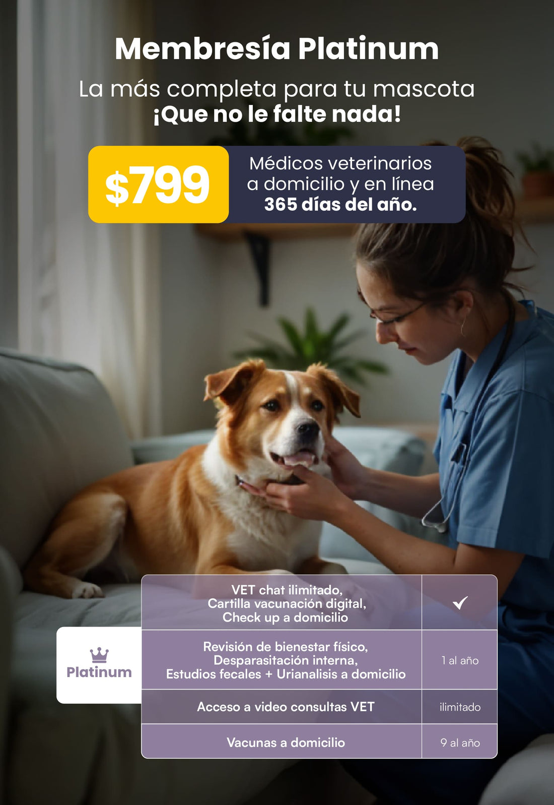 Petzer | Alimento, Productos, Servicios a domicilio para Perro y Gato ...