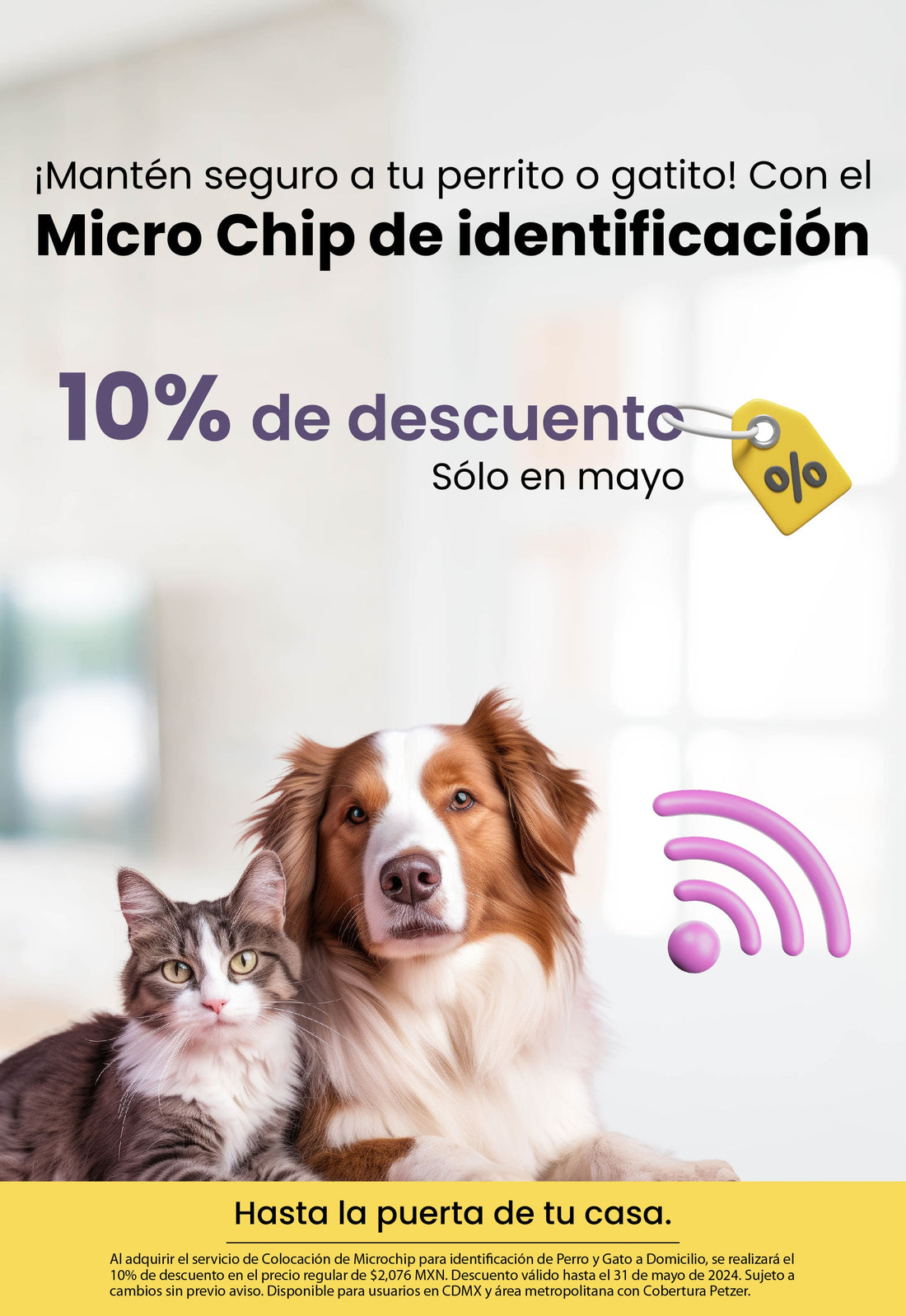 Petzer | Alimento, Productos, Servicios a domicilio para Perro y Gato ...