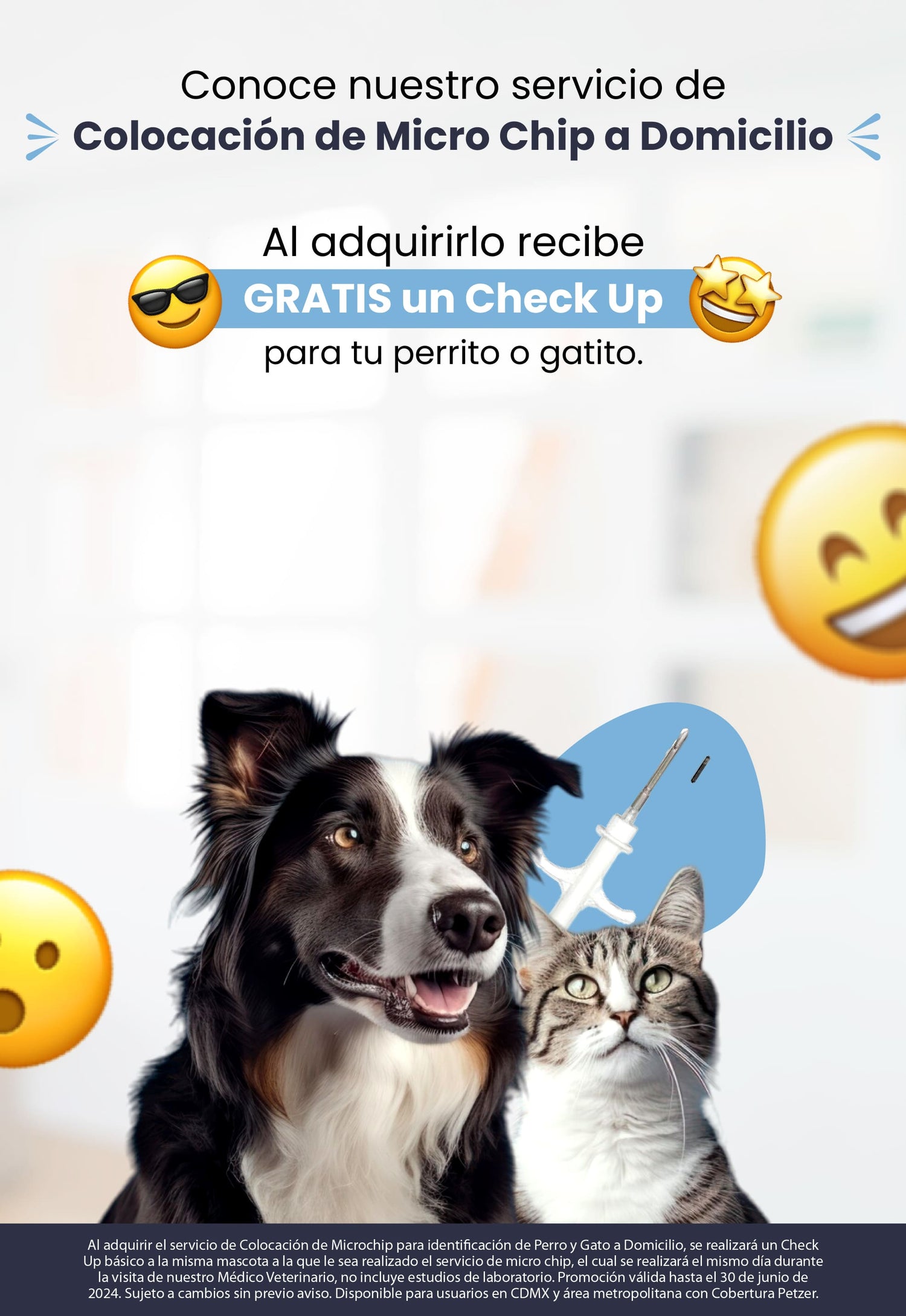 Petzer | Alimento, Productos, Servicios a domicilio para Perro y Gato ...