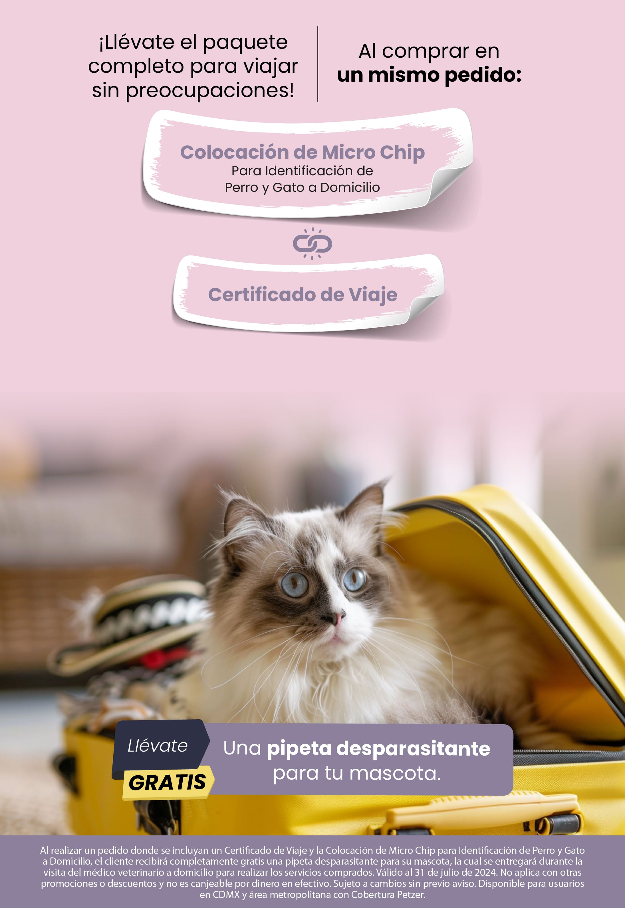 Petzer | Alimento, Productos, Servicios a domicilio para Perro y Gato ...