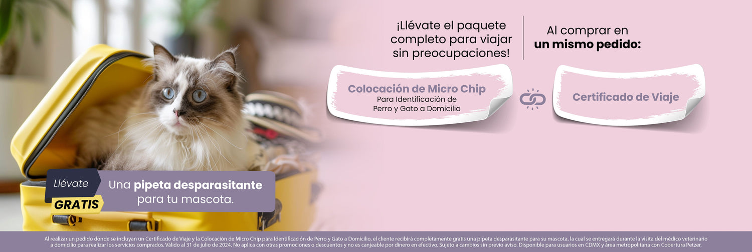 Petzer | Alimento, Productos, Servicios a domicilio para Perro y Gato ...