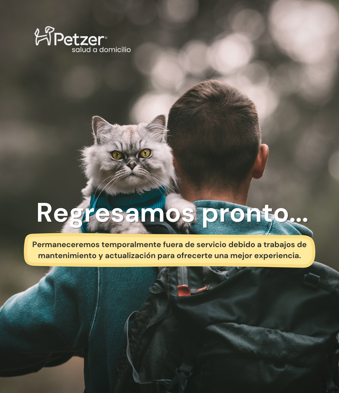 Petzer | Alimento, Productos, Servicios a domicilio para Perro y Gato ...