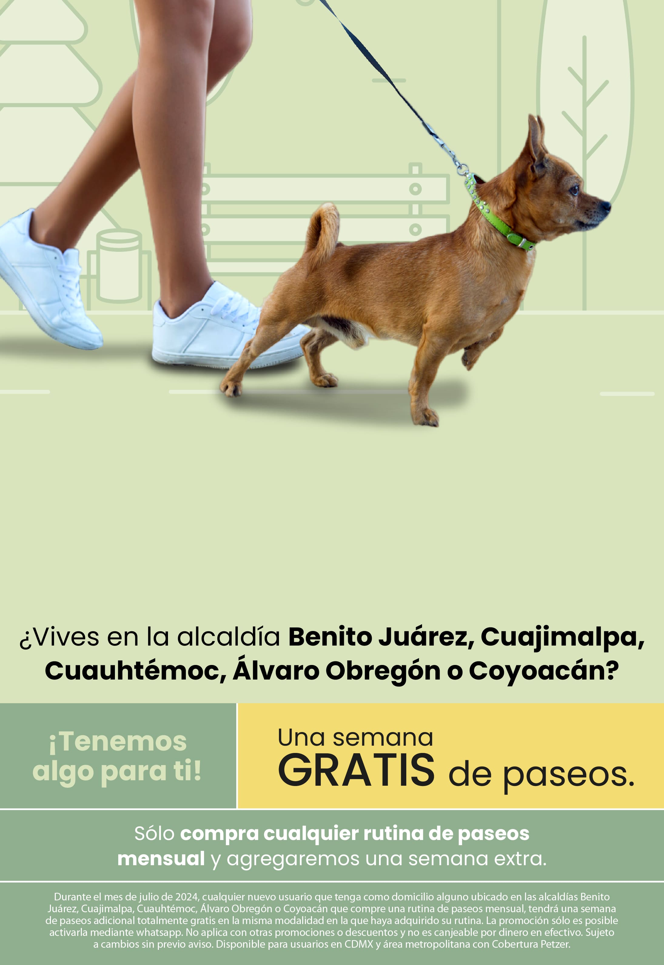 Petzer | Alimento, Productos, Servicios a domicilio para Perro y Gato ...