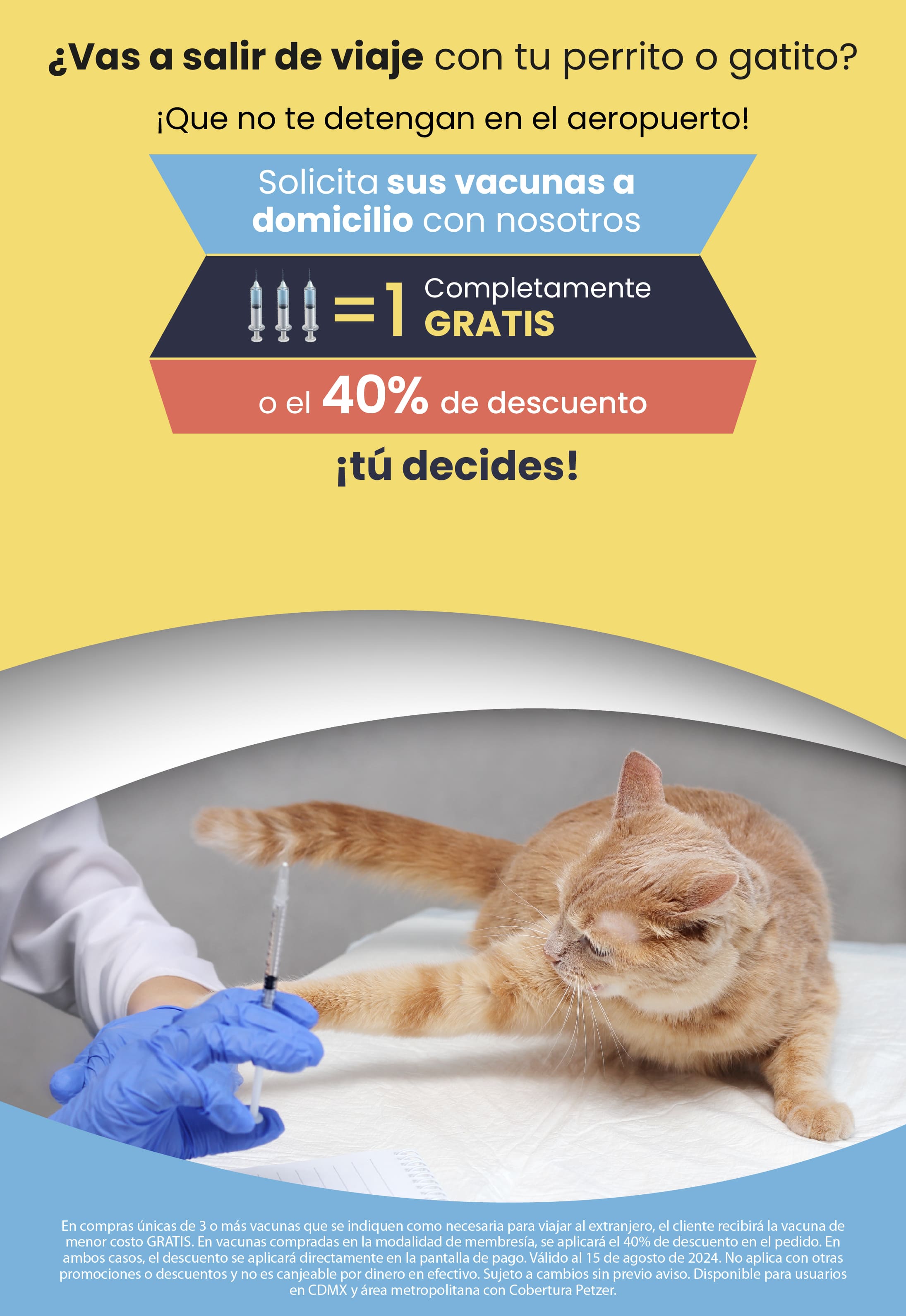 Petzer | Alimento, Productos, Servicios a domicilio para Perro y Gato ...