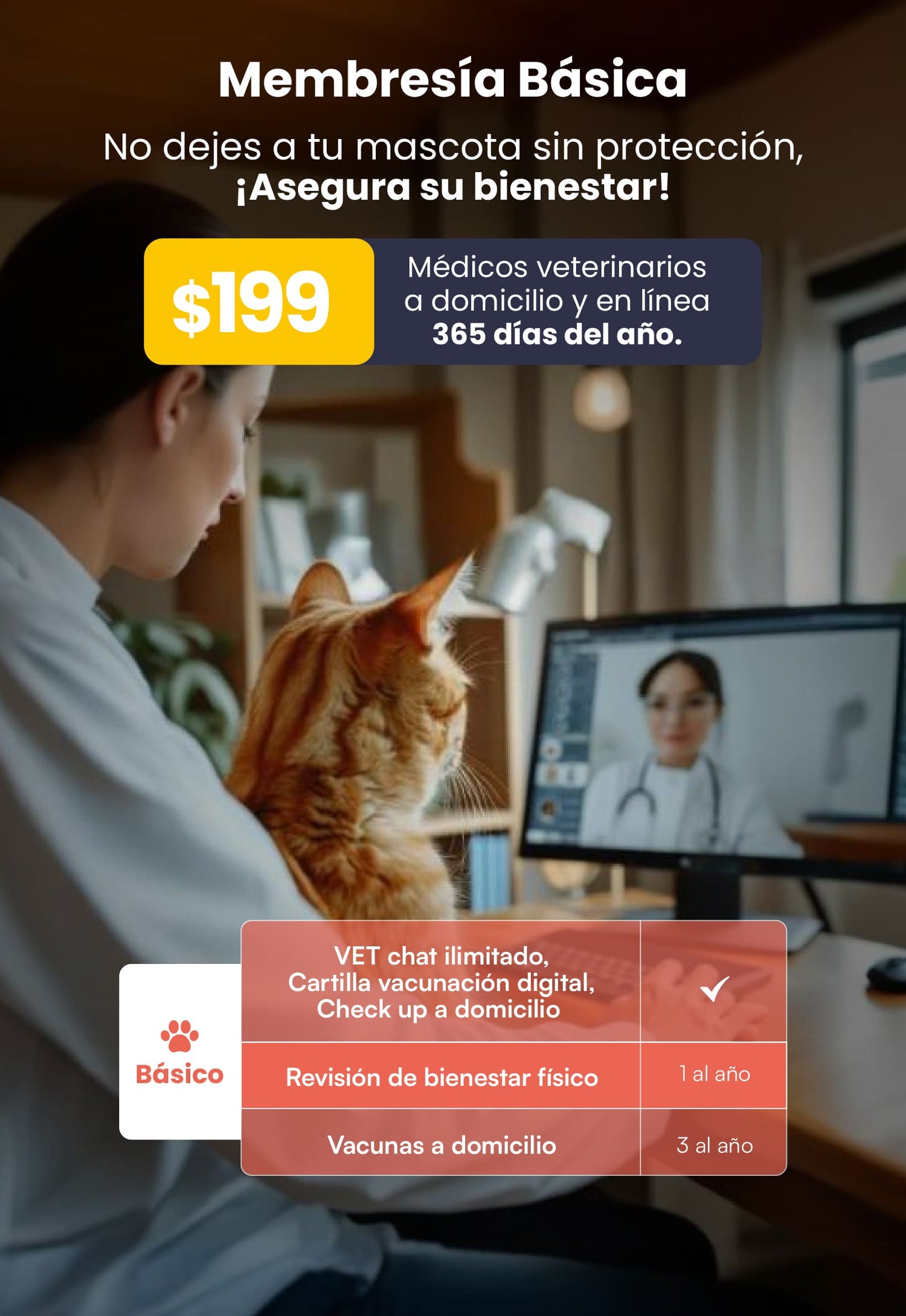 Petzer | Alimento, Productos, Servicios a domicilio para Perro y Gato ...