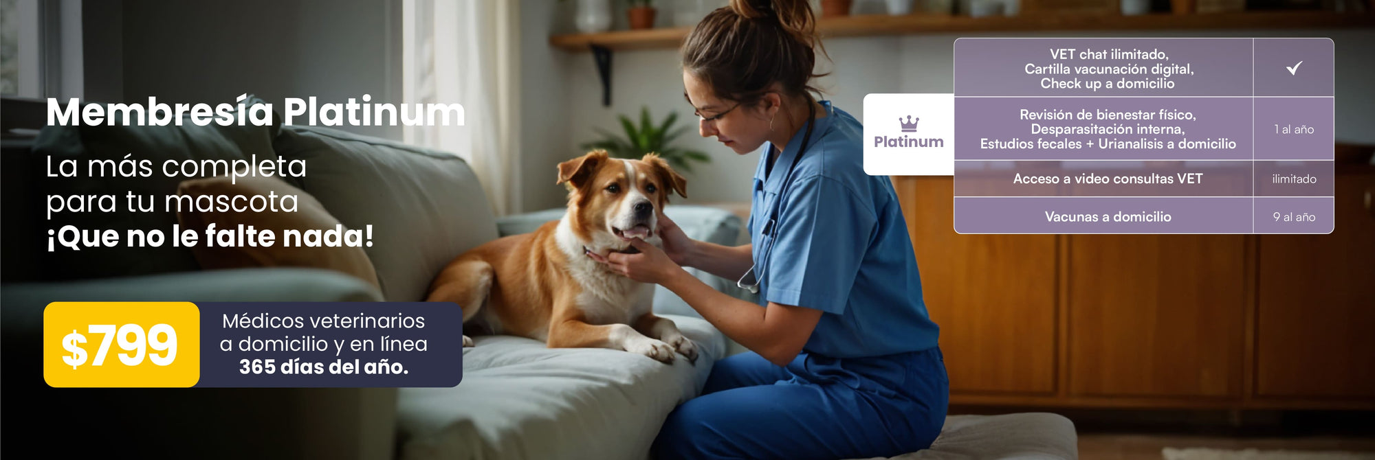Petzer | Alimento, Productos, Servicios a domicilio para Perro y Gato ...