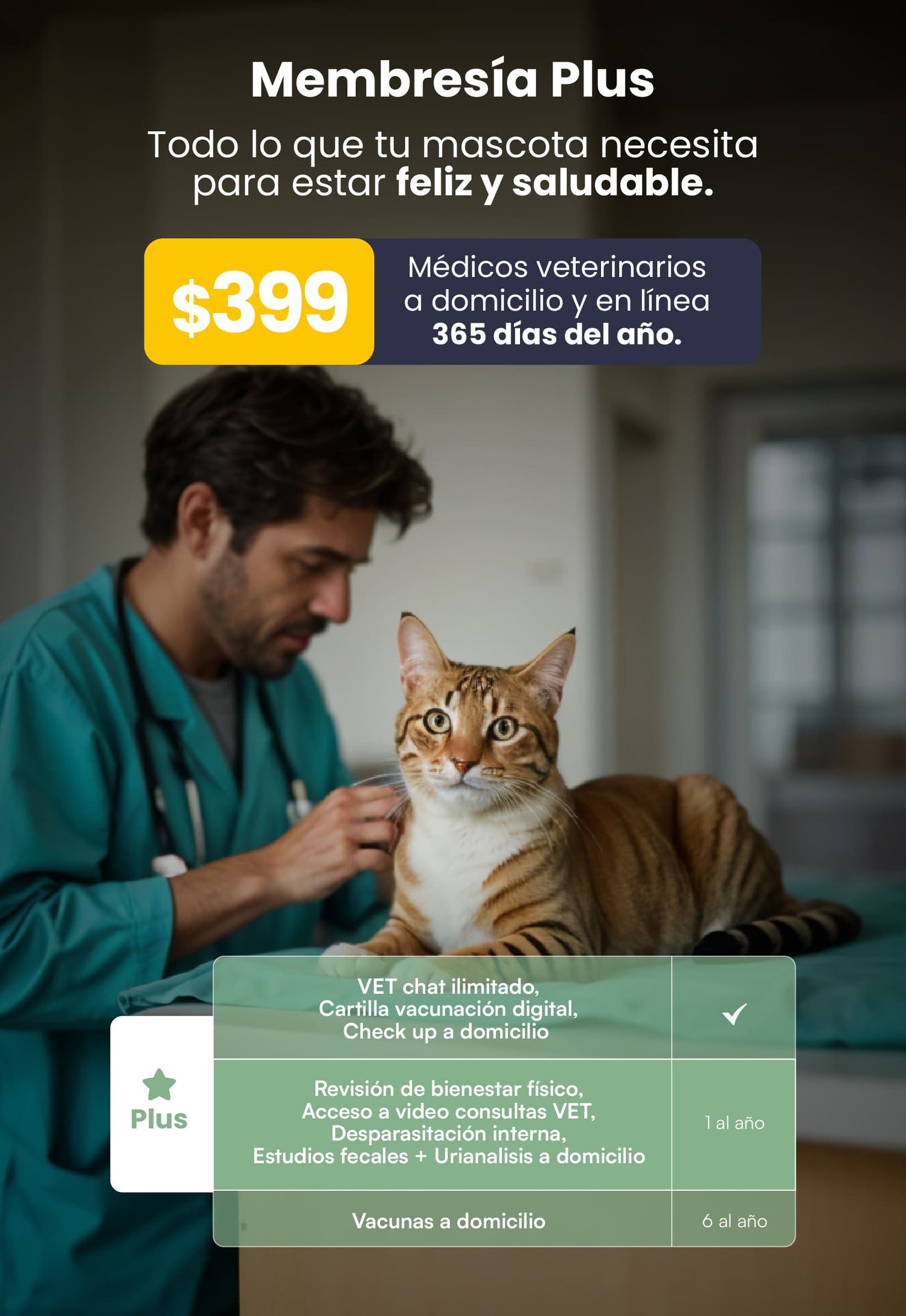 Petzer | Alimento, Productos, Servicios a domicilio para Perro y Gato ...