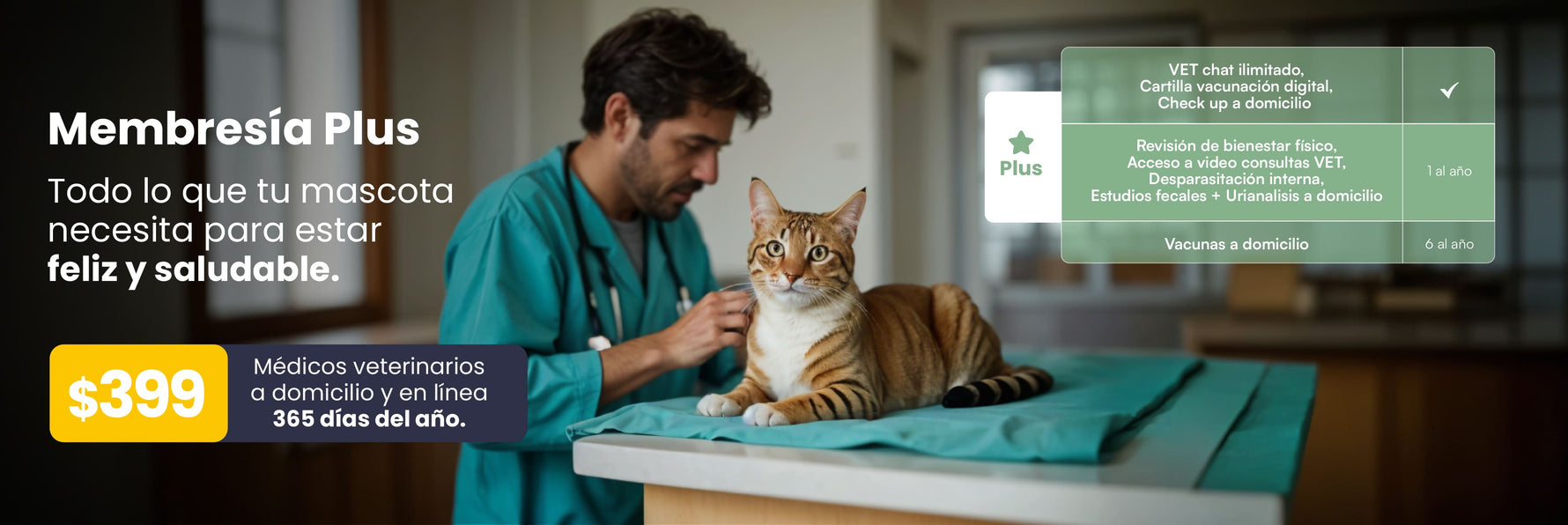 Petzer | Alimento, Productos, Servicios a domicilio para Perro y Gato ...