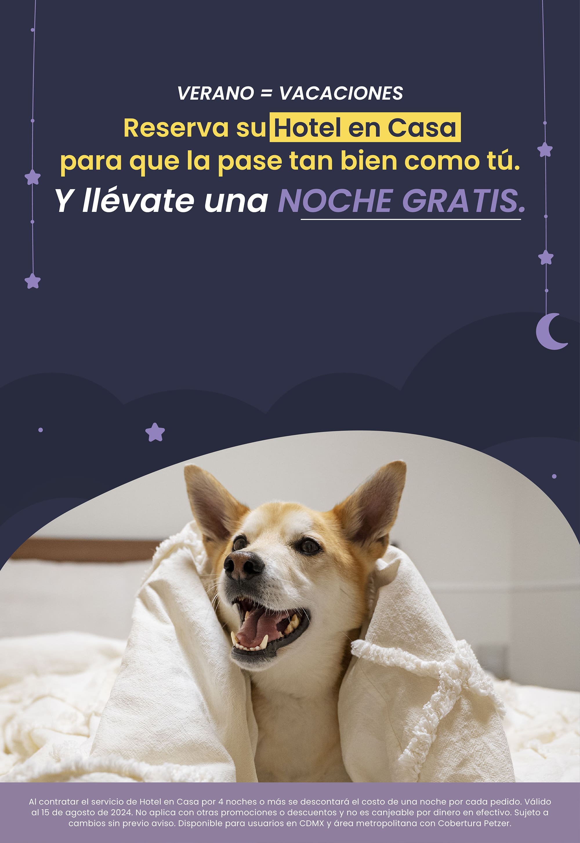 Petzer | Alimento, Productos, Servicios a domicilio para Perro y Gato ...